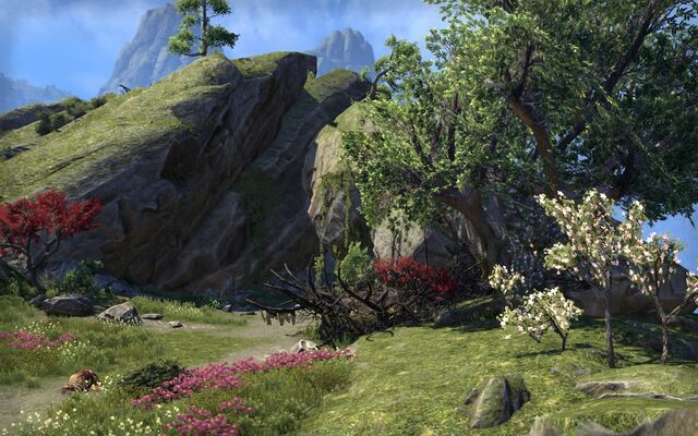 Гнездо грифонов — Википедия по игре The Elder Scrolls Online